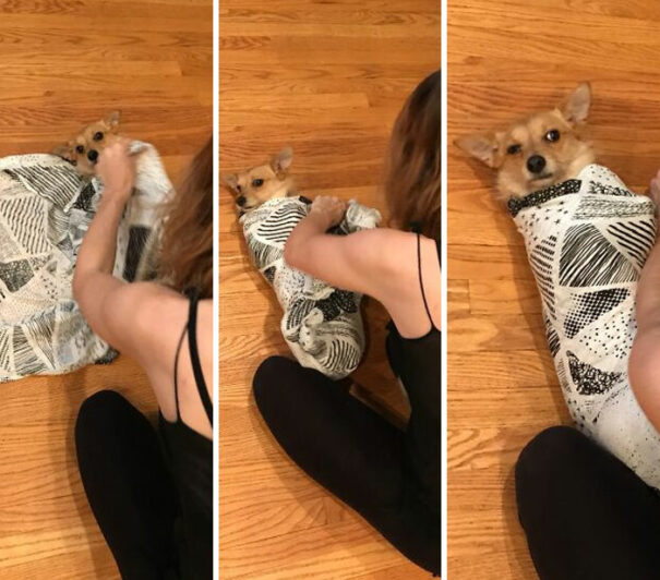 40 Funny Pics Of The Realities Of Dealing With Pregnancy | DeMilked