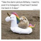 35 Sarcastic And Witty Memes To Make You Roll On The Floor Laughing ...