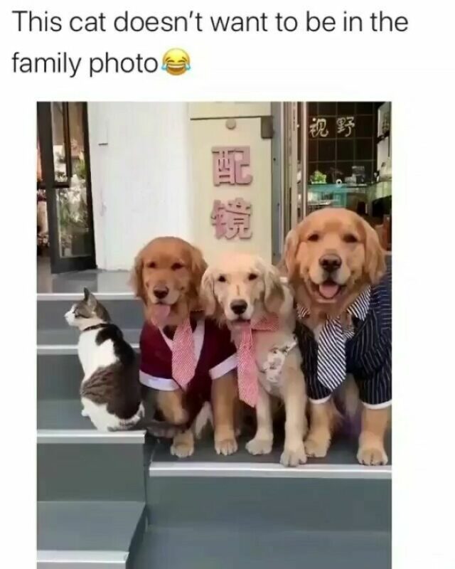 35 Sarcastic And Witty Memes To Make You Roll On The Floor Laughing ...