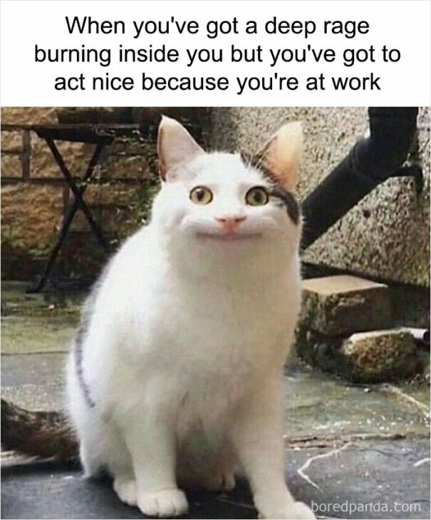 35 Sarcastic And Witty Memes To Make You Roll On The Floor Laughing ...