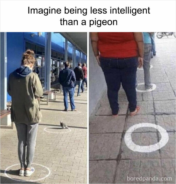 35 Sarcastic And Witty Memes To Make You Roll On The Floor Laughing ...