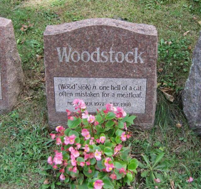 25 Witty Tombstones That Are Laughing In The Face Of Death | DeMilked