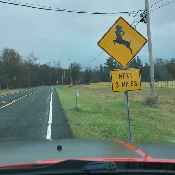 35 Of The Weirdest Signs Around The World, As Shared In This Online ...
