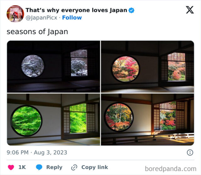 20 Amazing Photos Showing That No Other Country Is Like Japan | DeMilked