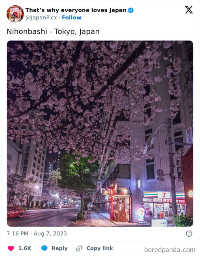 20 Amazing Photos Showing That No Other Country Is Like Japan | DeMilked