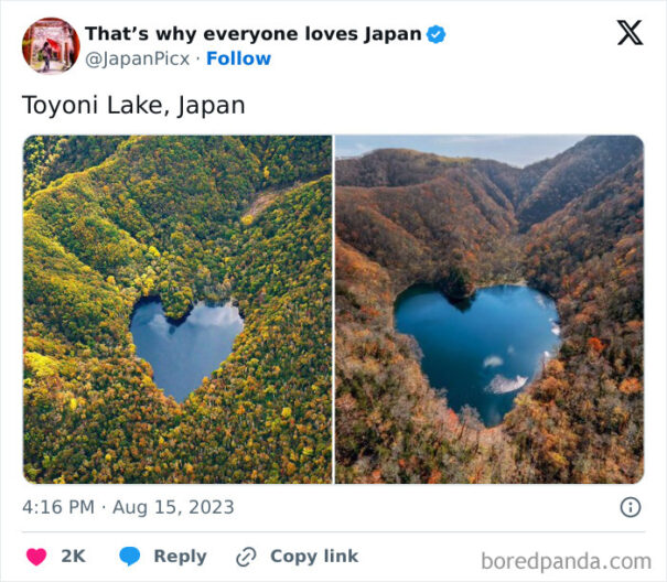 20 Amazing Photos Showing That No Other Country Is Like Japan | DeMilked