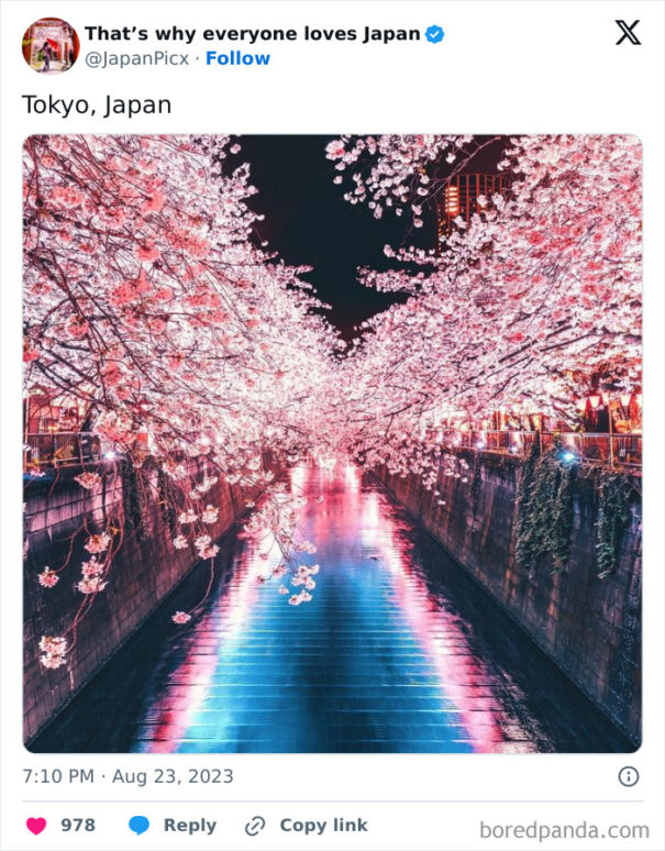 20 Amazing Photos Showing That No Other Country Is Like Japan | DeMilked