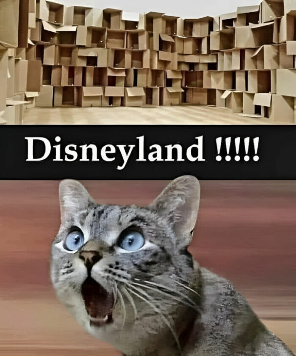 'Kind Humour': 20 Funny And Sweet Memes That Don't Offend Anyone | DeMilked