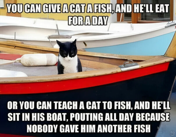 'Kind Humour': 20 Funny And Sweet Memes That Don't Offend Anyone | DeMilked