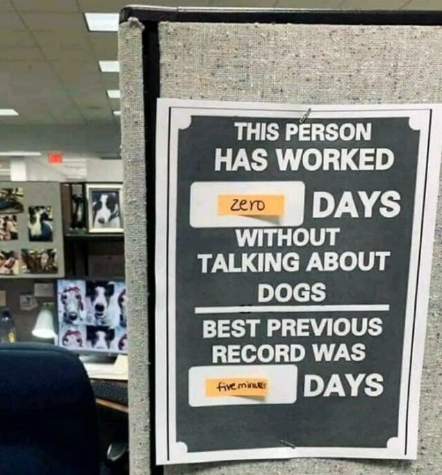 20 Memes That Might Amuse You To Some Degree | DeMilked