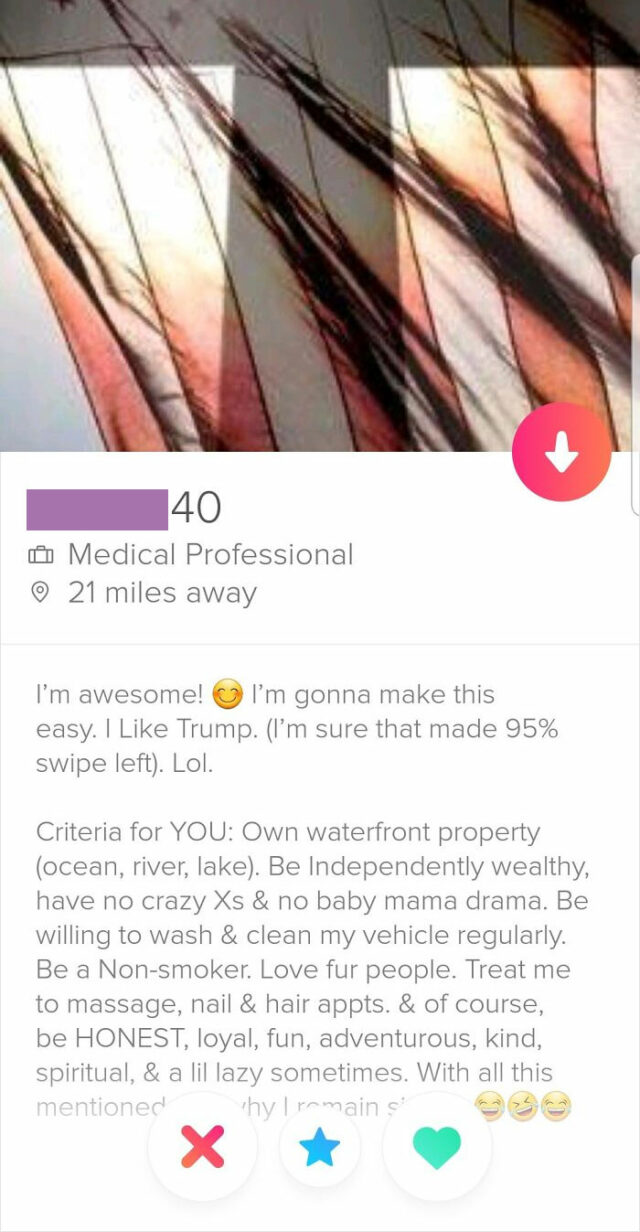 35 Times People’s High Dating Standards Got Them Ridiculed Online ...