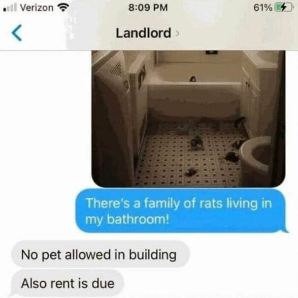 20 Screenshots Of Unhinged Text Fails | DeMilked