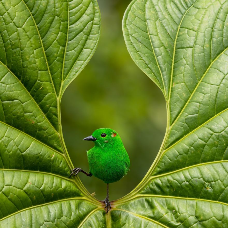 50 Wedding Photographers Show What It Takes To Make That Perfect Shot ...