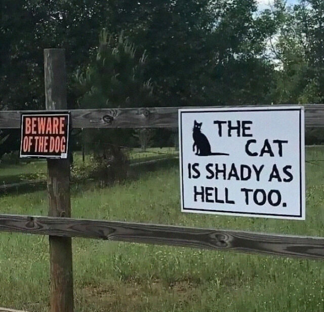 40 Times People Spotted An Absurd Sign That Deserves The Spotlight ...