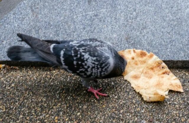 “The Absurd Human Condition”: 25 Shots By Photographer Jeffrey De ...