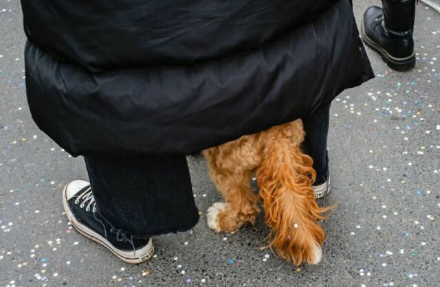 “The Absurd Human Condition”: 25 Shots By Photographer Jeffrey De ...