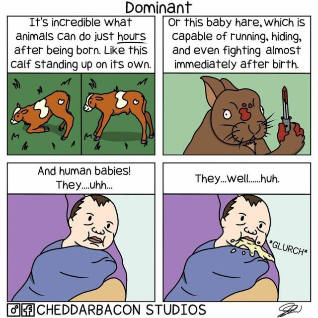 25 Times 'Cheddar Bacon Studios' Created Funny Comics Based On ...