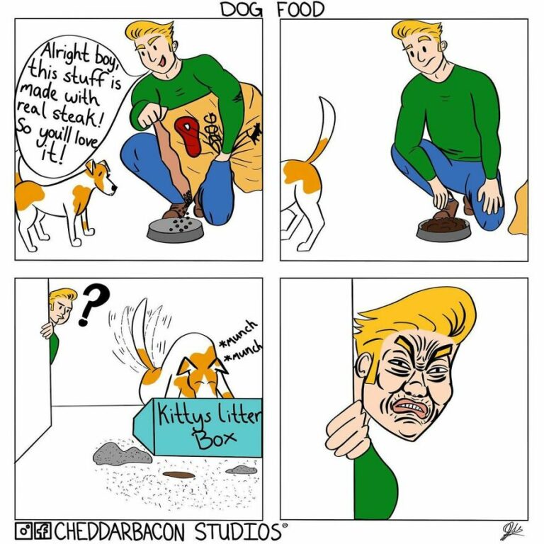 25 Times 'Cheddar Bacon Studios' Created Funny Comics Based On ...