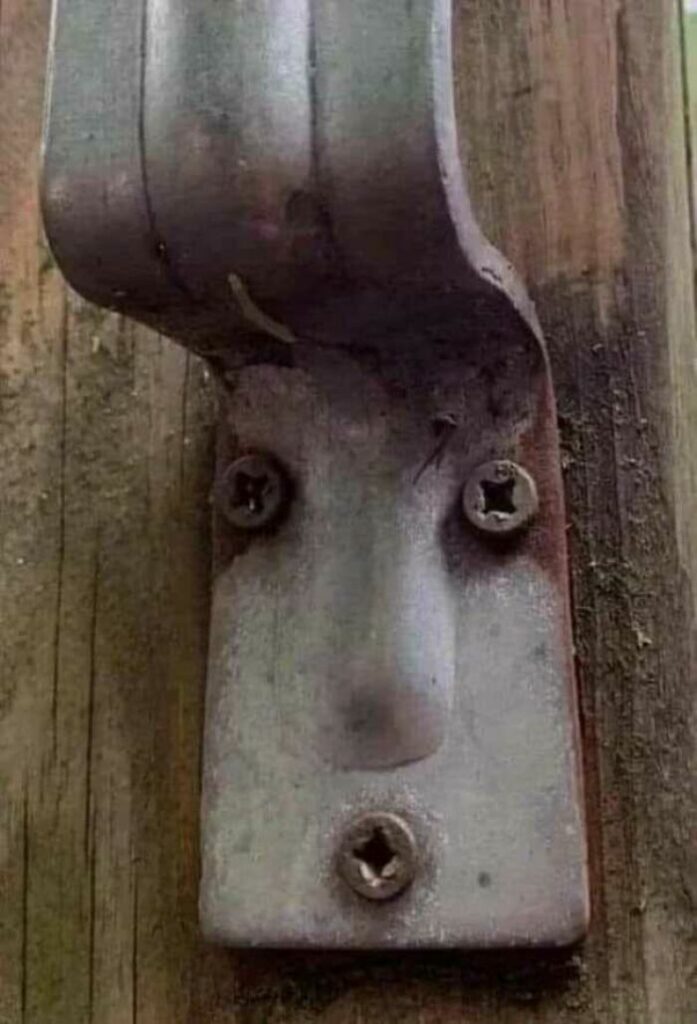 “Things That Look Like Faces”: 30 Cases Of Everyday Pareidolia | DeMilked