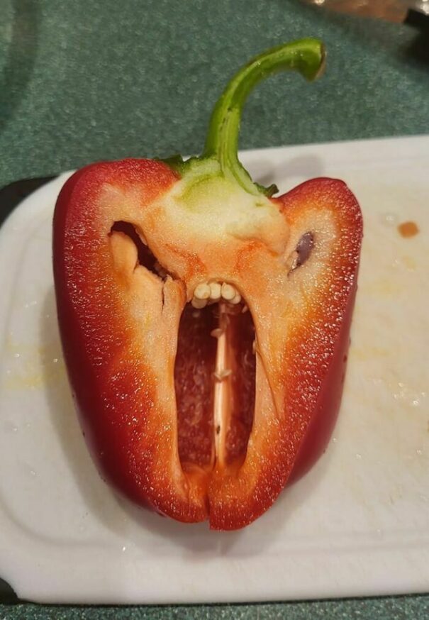 “Things That Look Like Faces”: 30 Cases Of Everyday Pareidolia | DeMilked