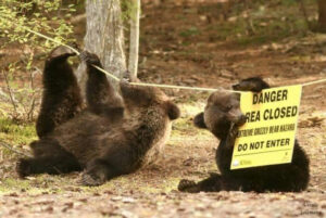 40 Of The Funniest Signs That People Randomly Came Across | DeMilked