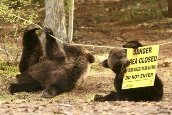 40 Of The Funniest Signs That People Randomly Came Across | DeMilked