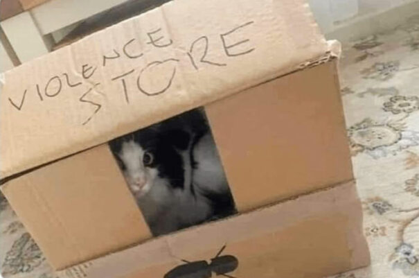 40 Of The Funniest Signs That People Randomly Came Across | DeMilked