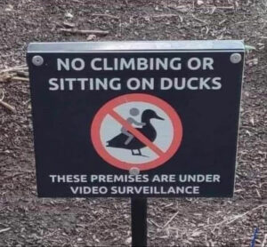40 Of The Funniest Signs That People Randomly Came Across | DeMilked