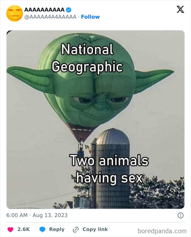 35 Cursed Memes That Might Make You Question Things And Laugh At The ...