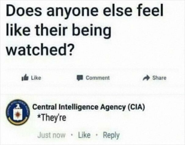 40 Of The Best Memes From "The Language Nerds” Page | DeMilked