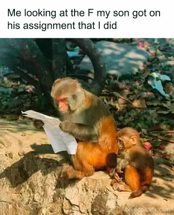 42 Relatable Memes About The Chaos Of Parenting | DeMilked