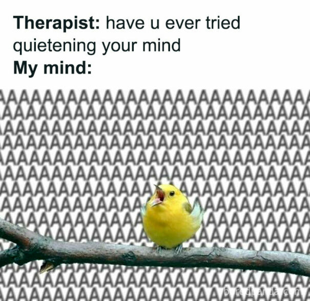 ‘Quiet’: 45 Relatable Memes Designed For Introverts | DeMilked