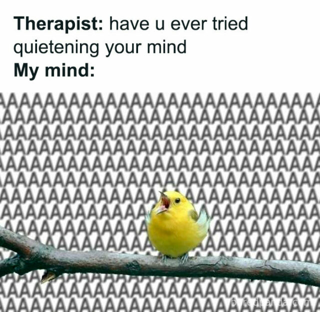 ‘Quiet’: 45 Relatable Memes Designed For Introverts | DeMilked