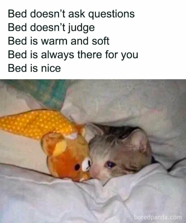 Quiet 45 Relatable Memes Designed For Introverts Demilked