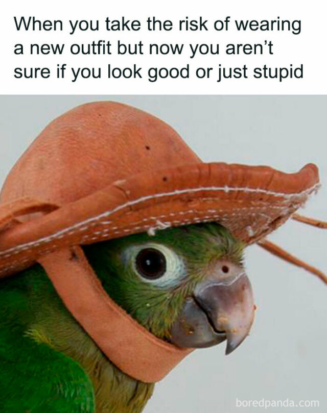 ‘Quiet’: 45 Relatable Memes Designed For Introverts | DeMilked