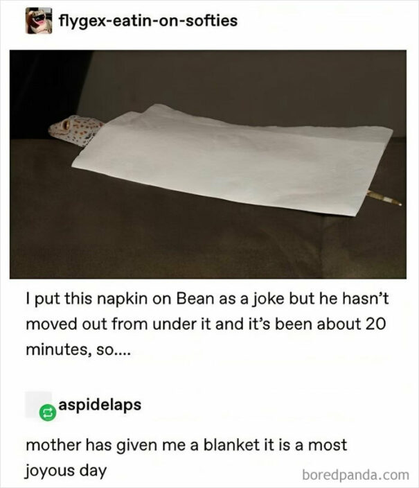 35 Funny Memes About The Daily Struggles We All Go Through | DeMilked