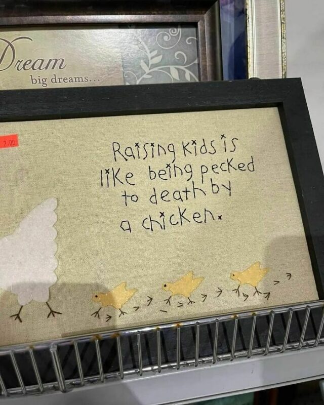 35 Funny, Bizarre, And Ridiculous Things People Found In Thrift Stores ...