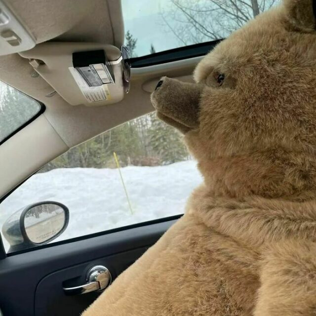 35 Funny, Bizarre, And Ridiculous Things People Found In Thrift Stores ...