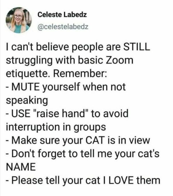 40 Memes That Accurately Depict The Struggles Of The Modern Workforce ...