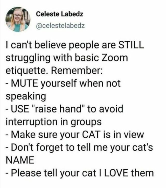 40 Memes That Accurately Depict The Struggles Of The Modern Workforce ...