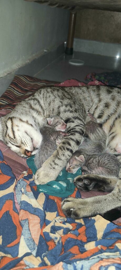 35 Adorable Pet Adoption Pictures To Make Your Day A Little Better ...