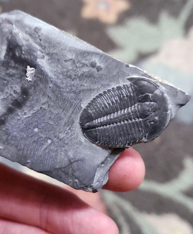 40 Interesting Archaeological Findings That Survived The Ravages Of ...