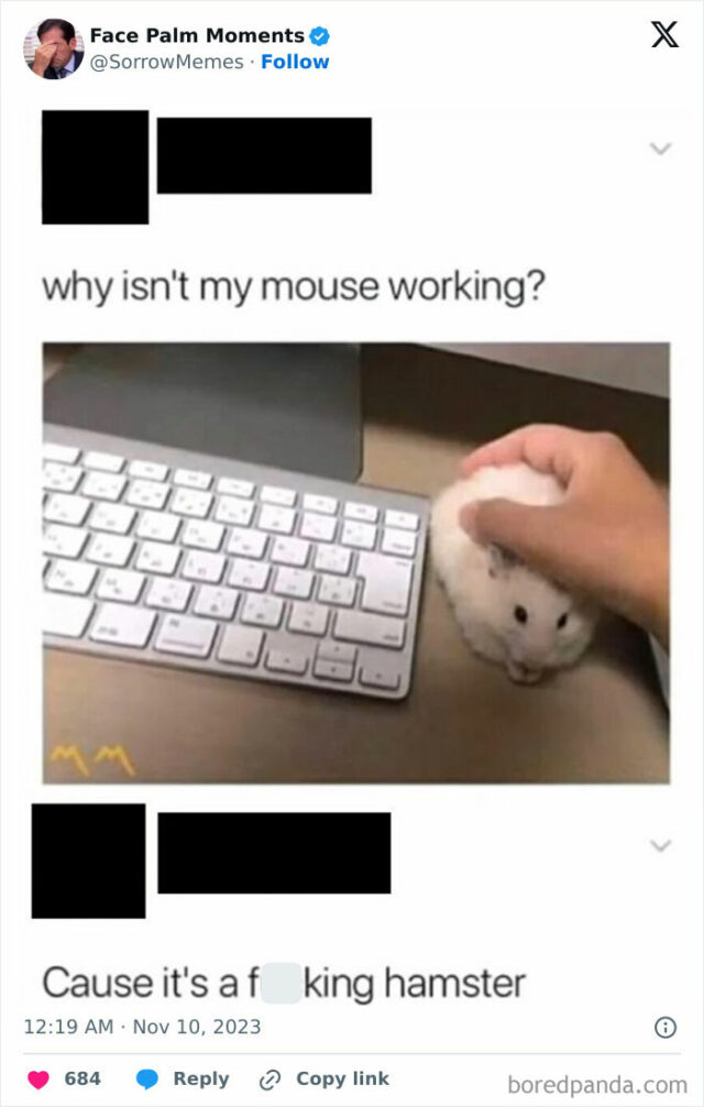 40 Funny Facepalm Moments, From This X Page | DeMilked