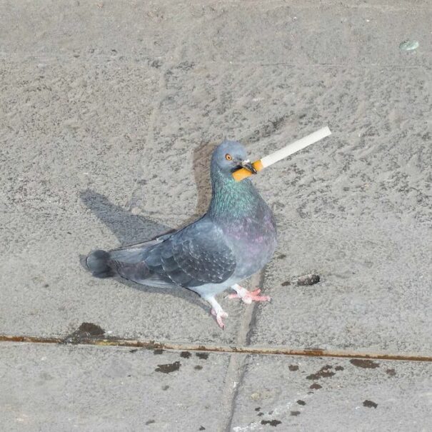 35 Times "The Decisive Moments Magazine" IG Page Celebrated Fascinating Photos | DeMilked