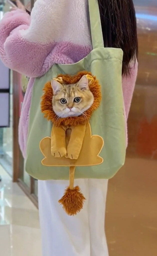 35 Cool And Innovative Products That Might Make You Say "I Didn't Know ...