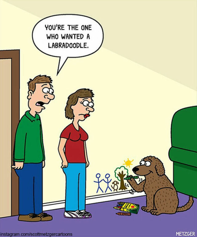 35 Single-Panel Comics Immortalizing The Charm Of Cats And Dogs ...