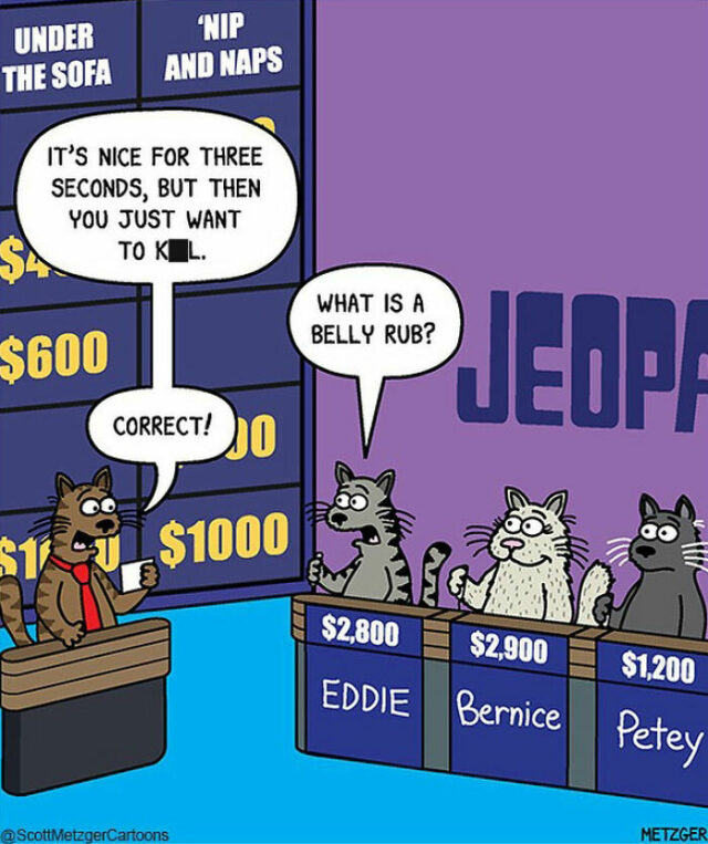 35 Single-Panel Comics Immortalizing The Charm Of Cats And Dogs ...