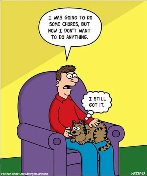 35 Single-Panel Comics Immortalizing The Charm Of Cats And Dogs ...