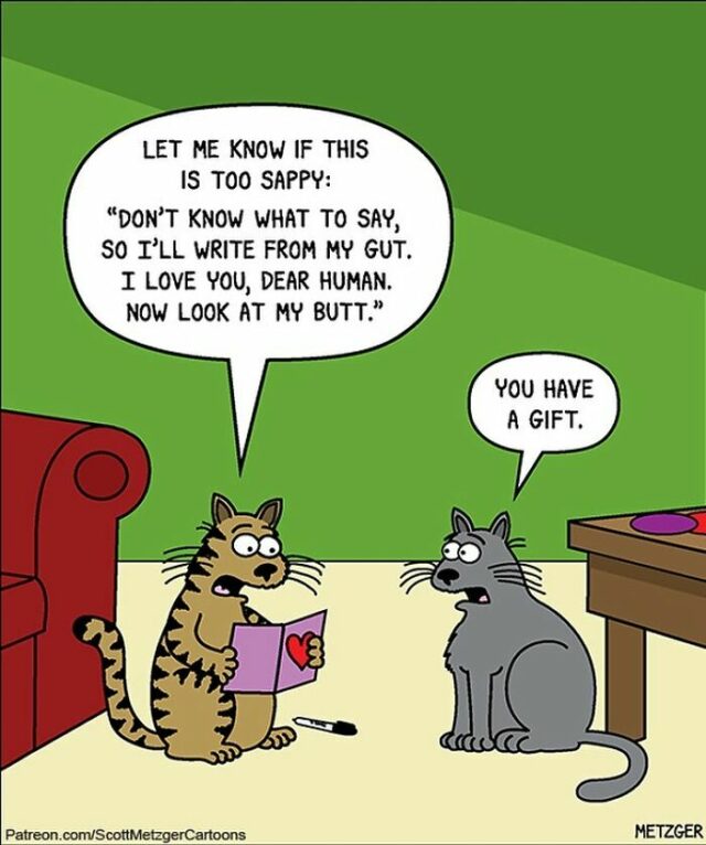 35 Single-Panel Comics Immortalizing The Charm Of Cats And Dogs ...