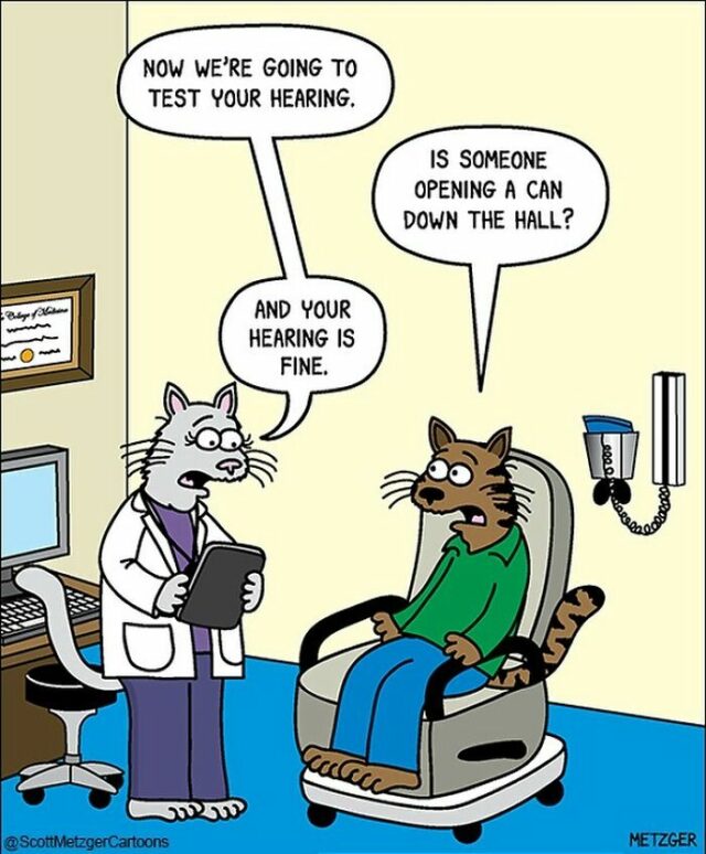 35 Single-Panel Comics Immortalizing The Charm Of Cats And Dogs ...